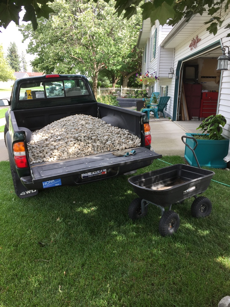 Let's Create a Rock Garden! | My Perpetual Project