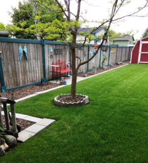 Let's Create a Backyard Park! | My Perpetual Project