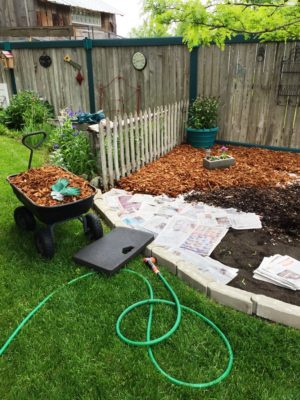 Let's Create a Backyard Park! | My Perpetual Project