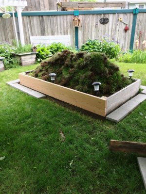 Let's Create a Backyard Park! | My Perpetual Project