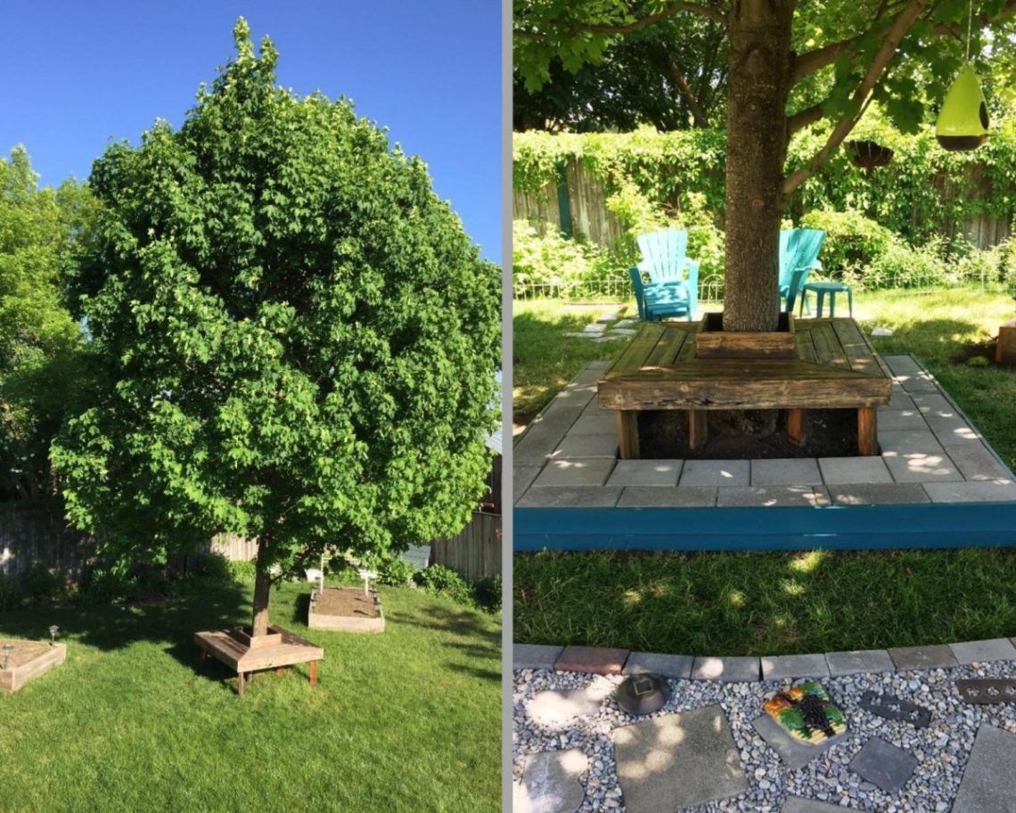 Let's Create a Backyard Park! | My Perpetual Project