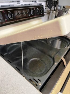 Let’s Paint the Kitchen Stove! | My Perpetual Project